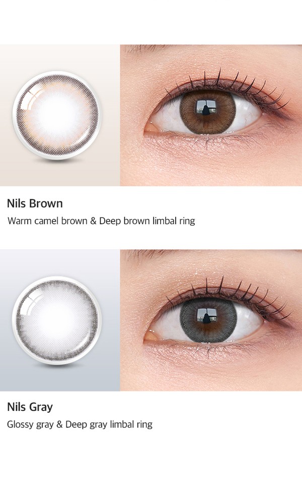 Nils 1Day Brown (10p) | OLENS